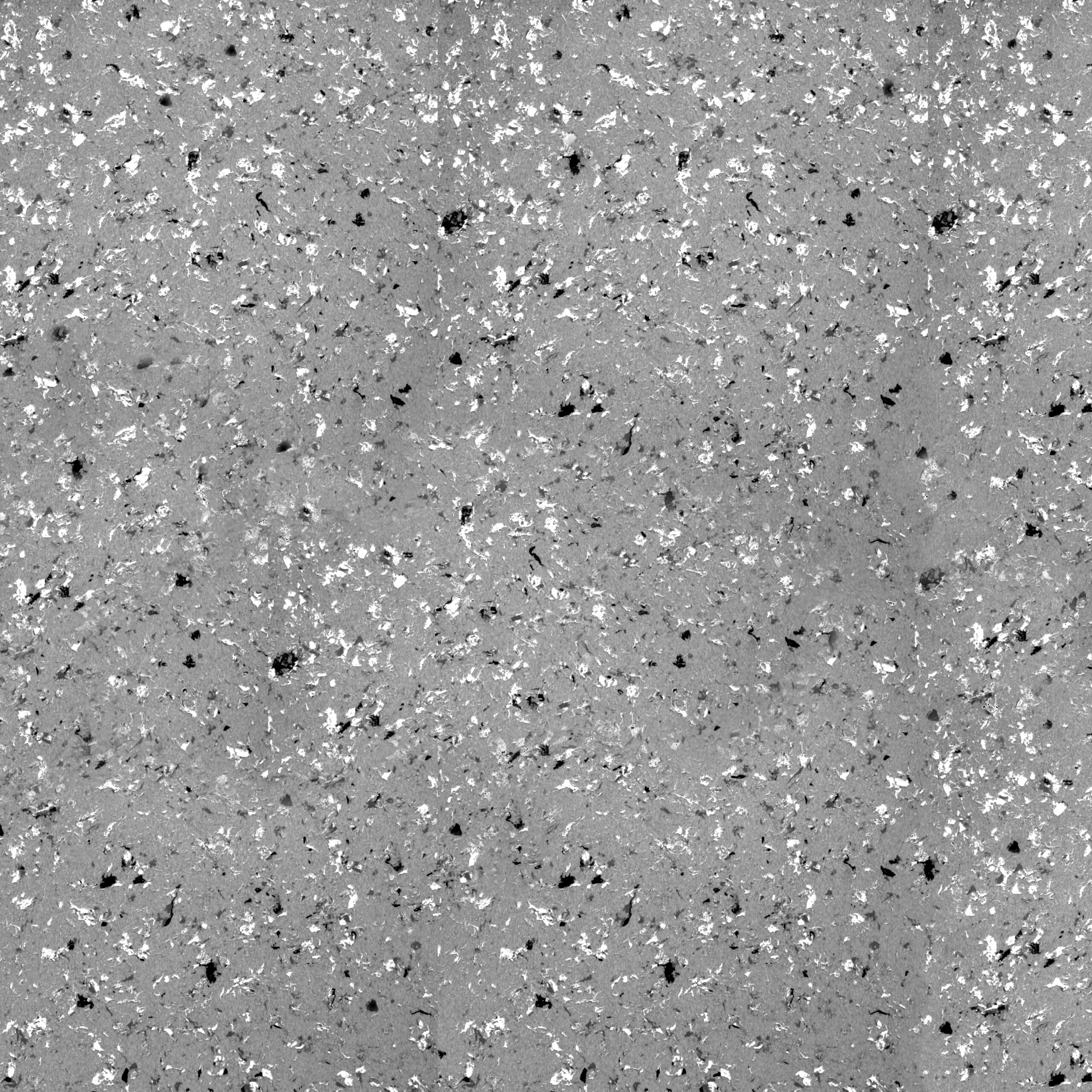 Evolution - Venezian Coats | Luxury Texture Finishes